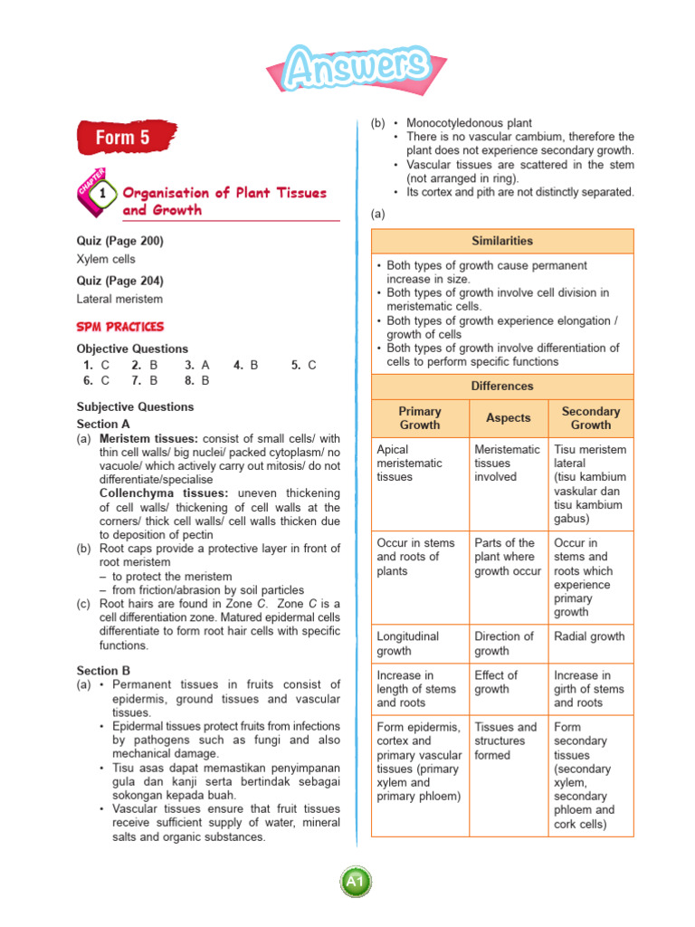 Ans SPMPrac 1 F5 | PDF | Tissue (Biology) | Plant Stem