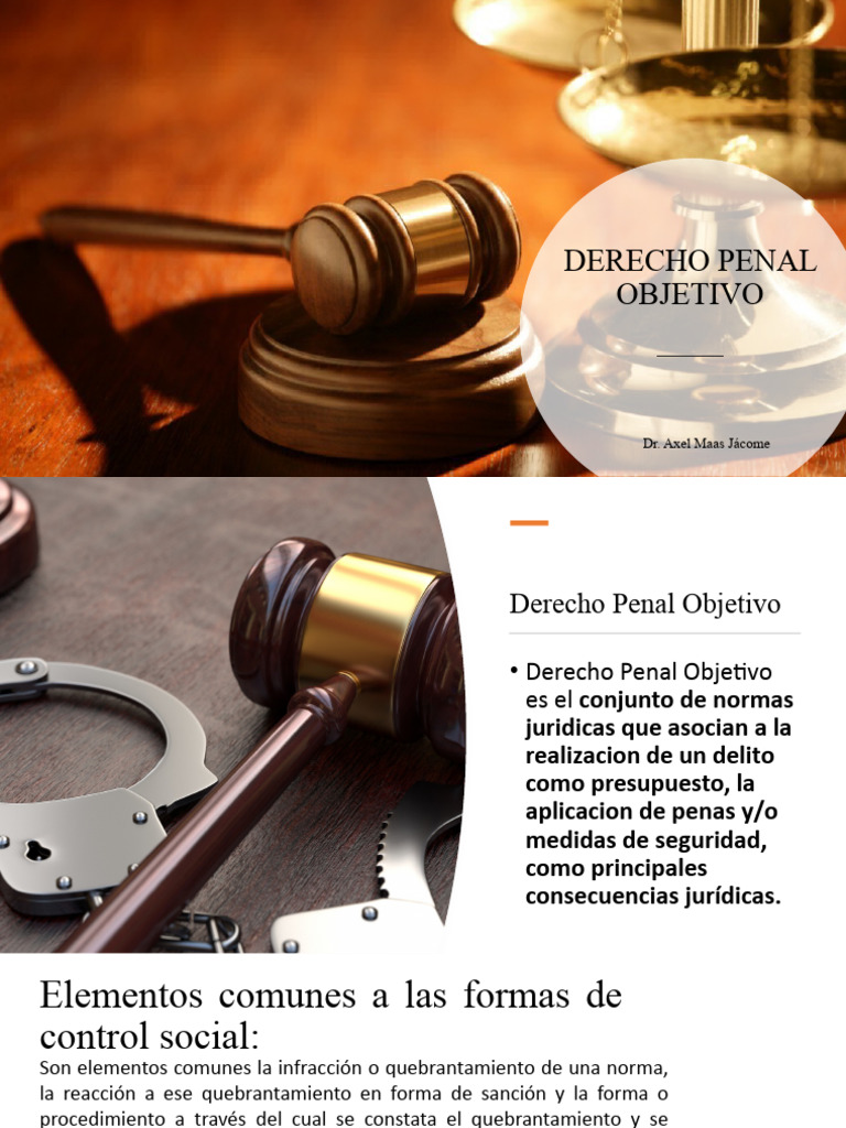 Derecho Penal Objetivo | PDF | Derecho penal | Crímenes