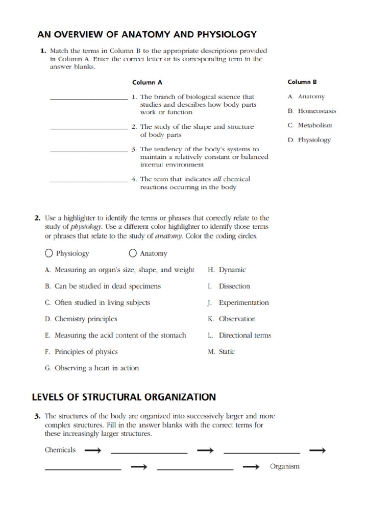 Anaphy Sheet-908 | PDF