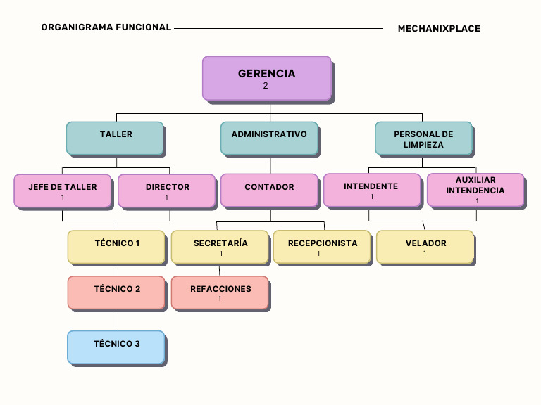 Organigrama Funcional | PDF