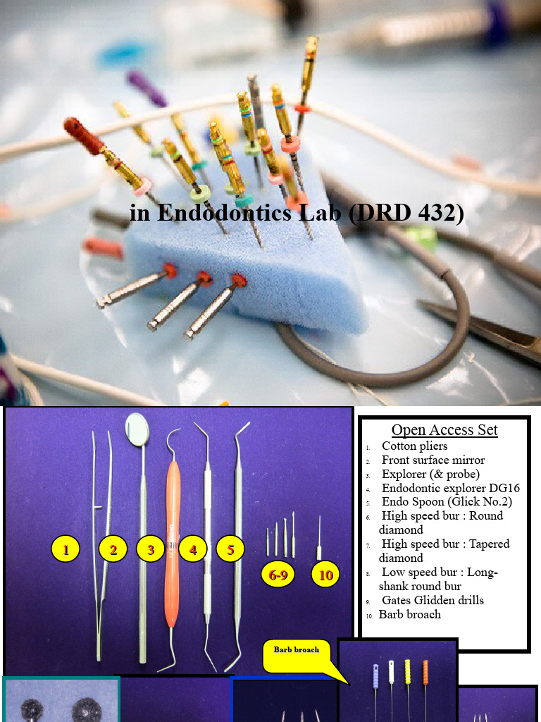 310-7908662387741841439-Endo Set Lab | PDF | Dentistry Branches