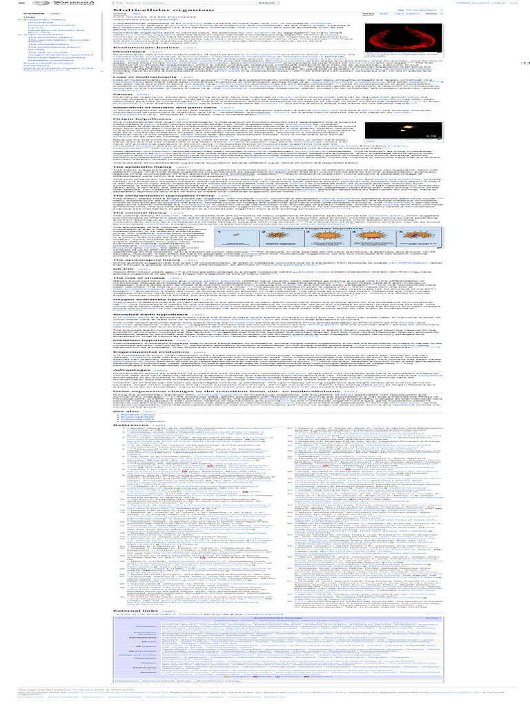 Multicellular Organism - Wikipedia | PDF | Organisms | Cell (Biology)