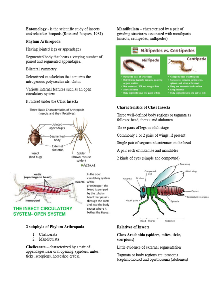 Crop Prot M1 Entomology | PDF | Insects | Arthropodology