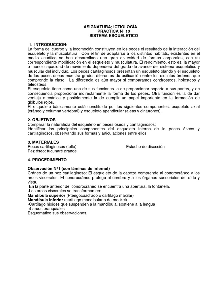 Esqueleto de Peces: Estructura y Funciones | PDF | Esqueleto | Pescado