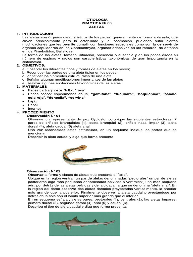 Morfología y Tipos de Aletas en Peces | PDF | Cordados | Pescado