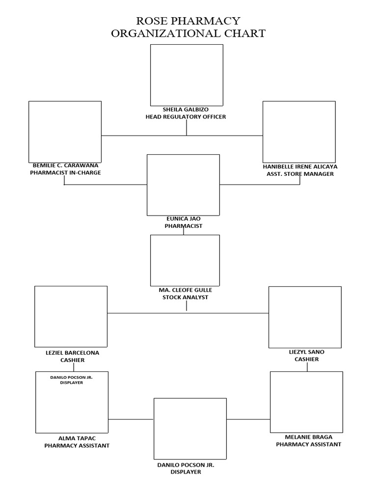 Rose Pharmacy Organizational Chart | PDF