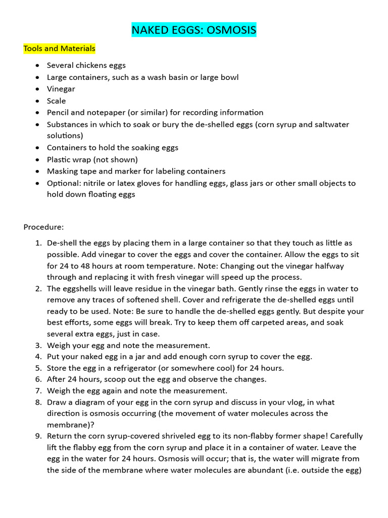 Naked Eggs Experiment | PDF | Egg As Food | Osmosis