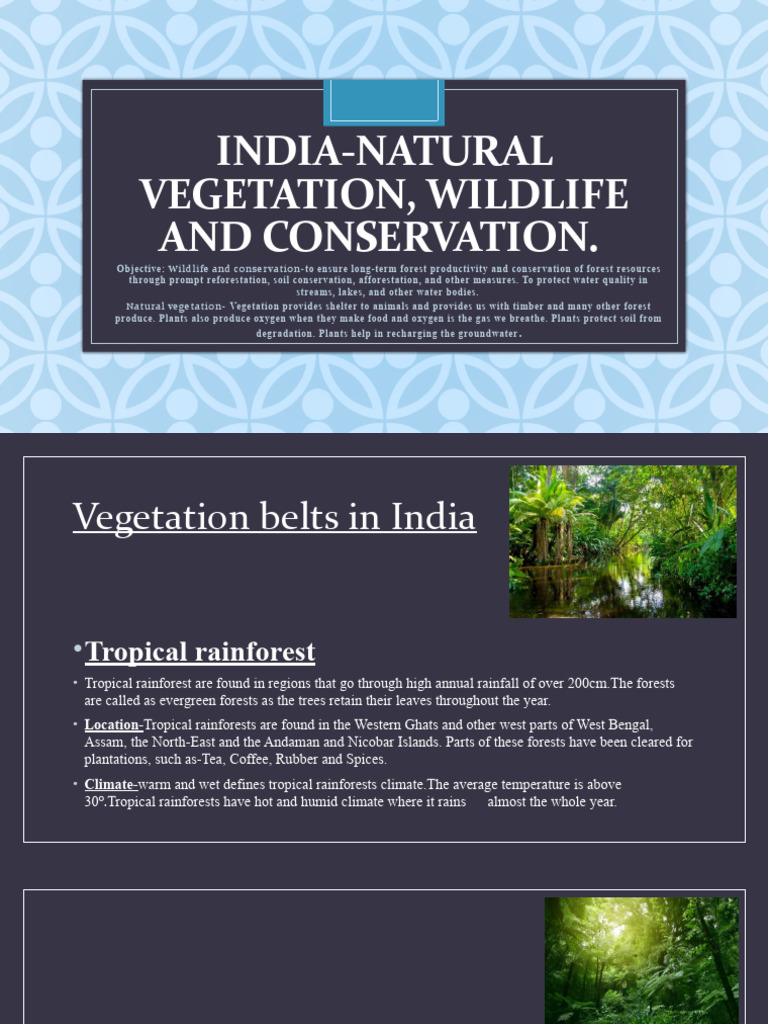 Wildlife and Vegetation Conservation in India | PDF | Forests ...