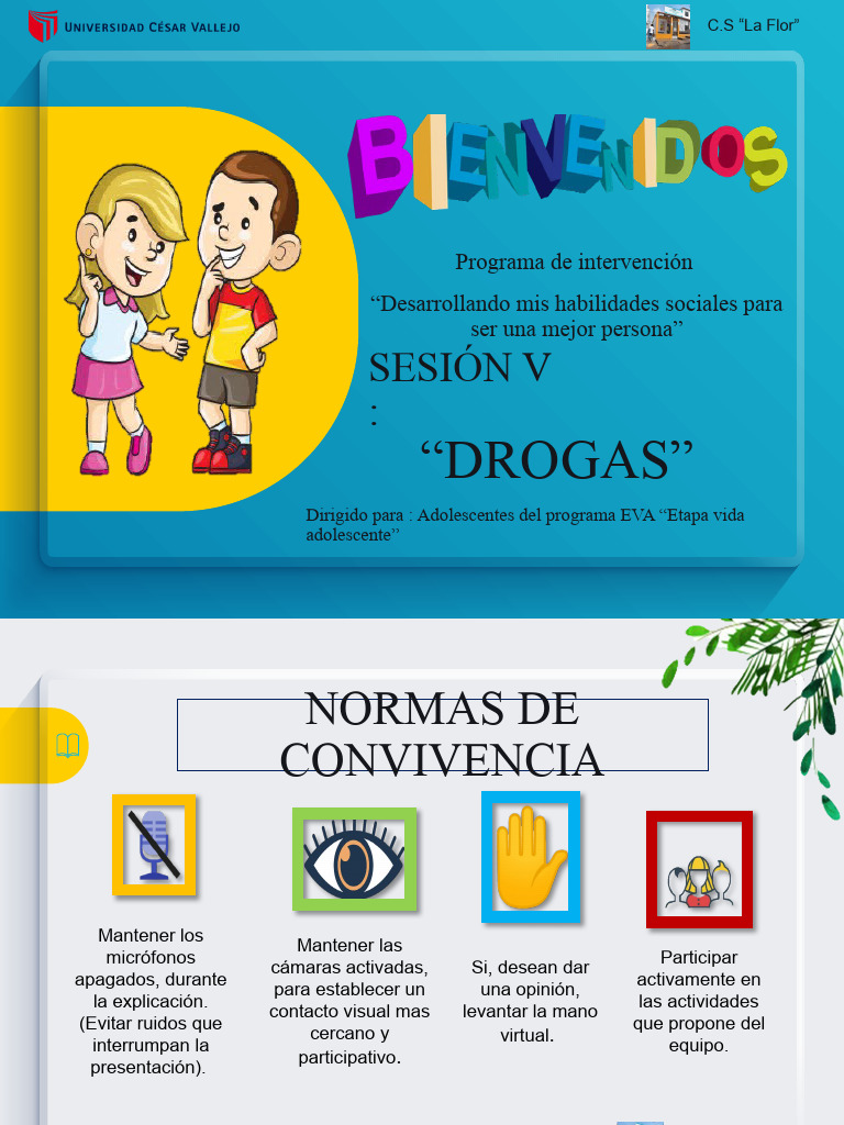 Sesión N°5 - Drogas | PDF | Drogas