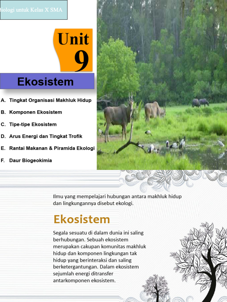 Ekosistem | PDF