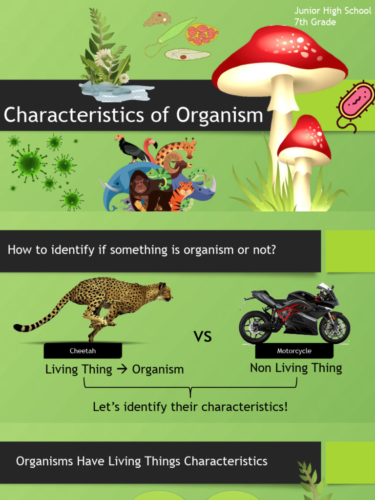 Characteristics of Organism | PDF | Organisms | Breathing