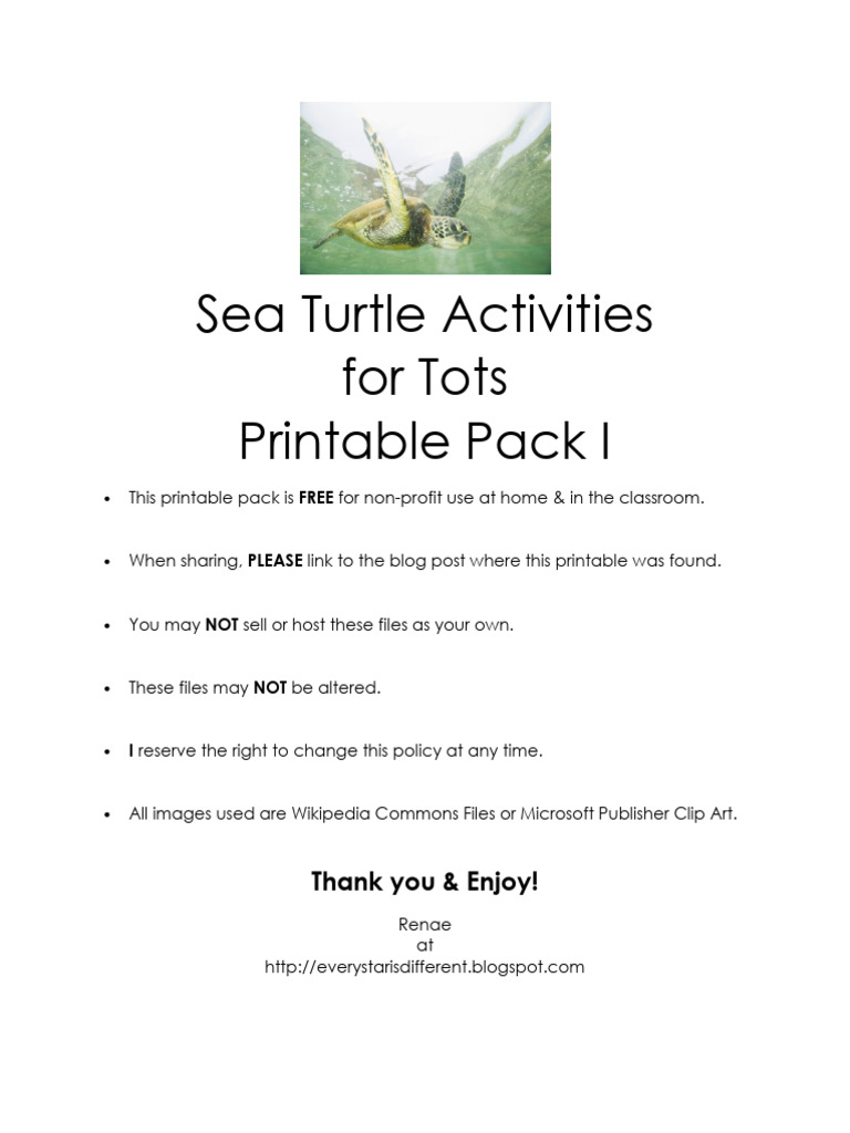 Sea Turtle Activities For Tots | PDF
