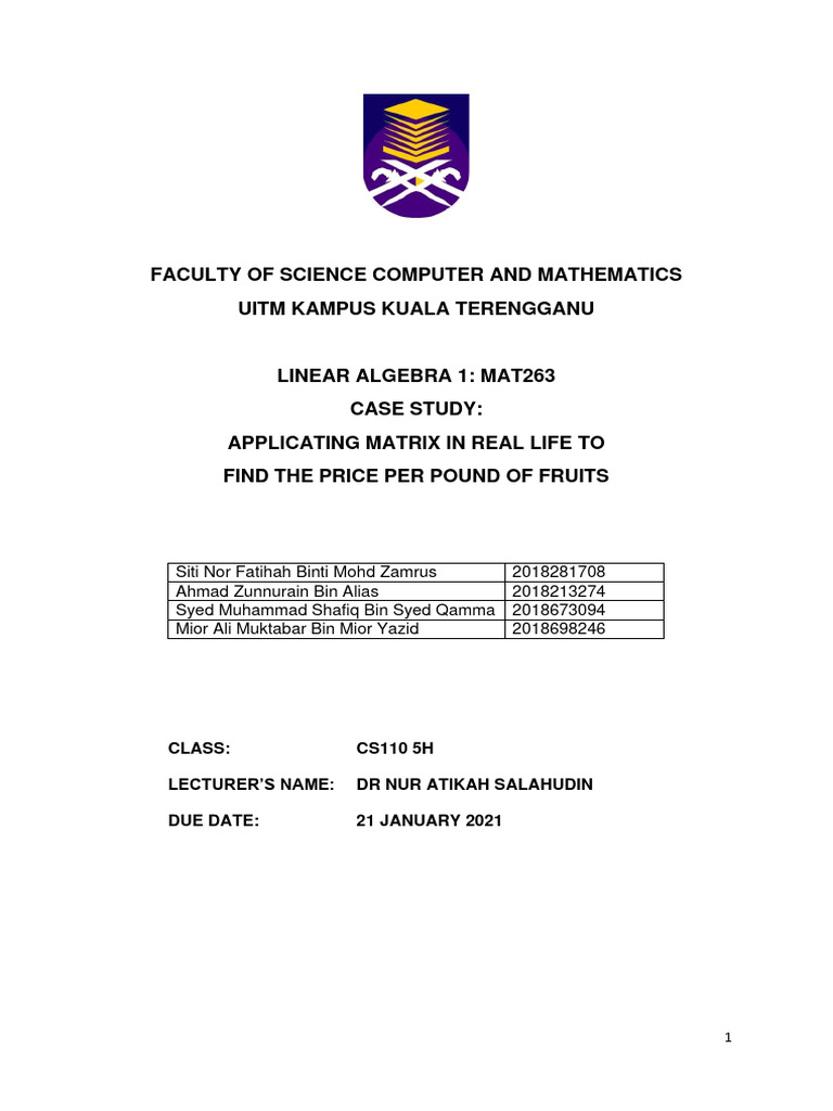 MAT263 Case Study Report PDF | PDF | Matrix (Mathematics) | Determinant