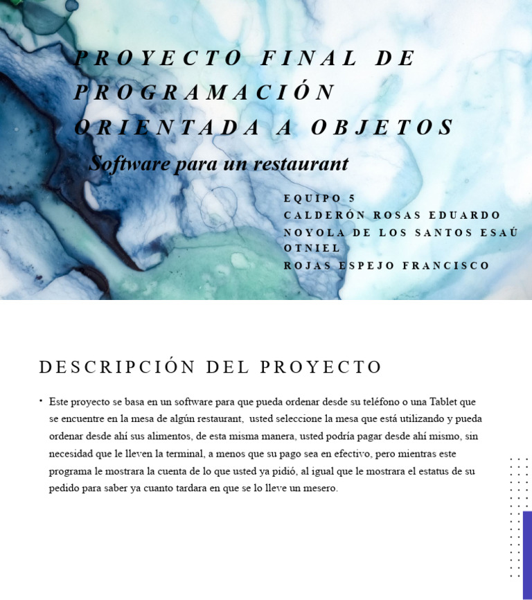 Proyecto Final de Programación Orientada A Objetos | PDF