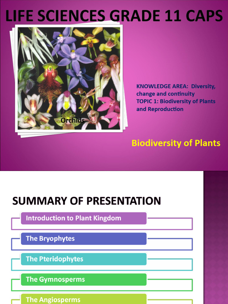 PP9 Biodiversity of Plants 1453879364 | PDF | Leaf | Plant Reproduction