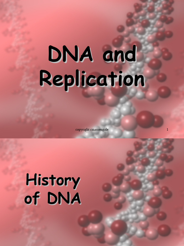Dna Replication1 Pdf Dna Replication Dna