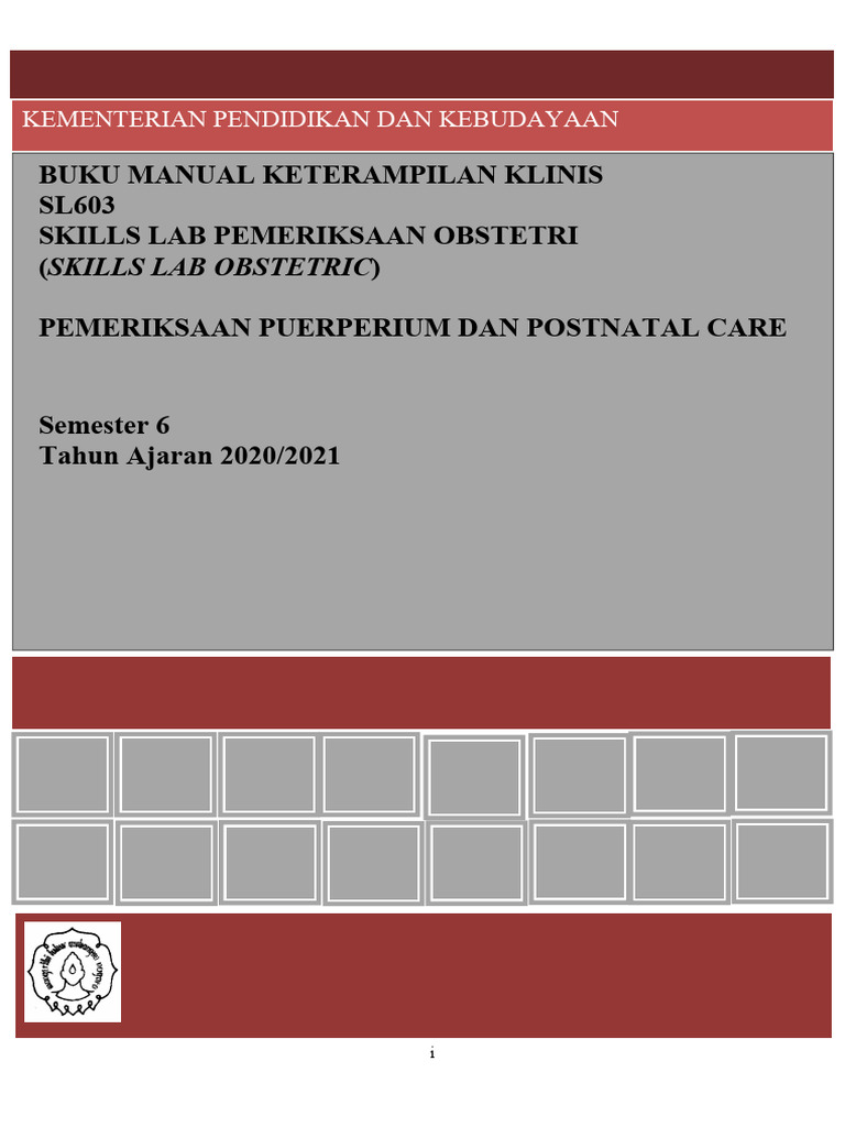 SL604 - Skills Lab PEMERIKSAAN PUERPERIUM DAN PNC 2021 | PDF