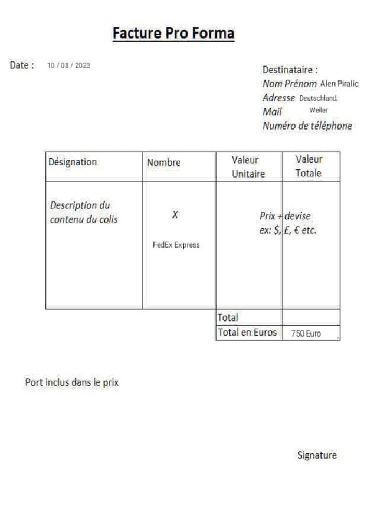 Document-WPS Office | PDF