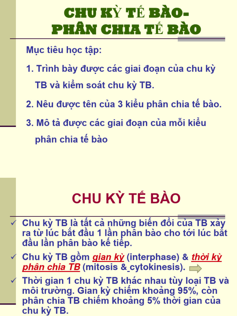Bài 8 PHÂN BÀO | PDF