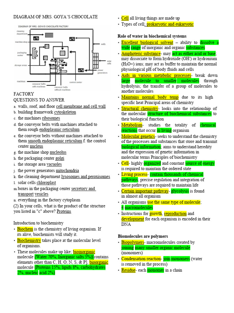 Biochem Midterm Reviewer Pdf Carbohydrates Fatty Acid