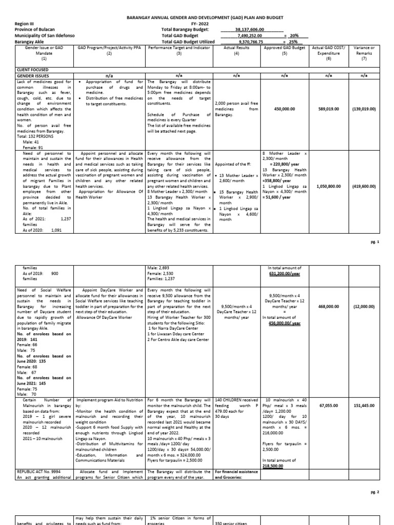 Barangay Akle GAD Plan 2022 | PDF