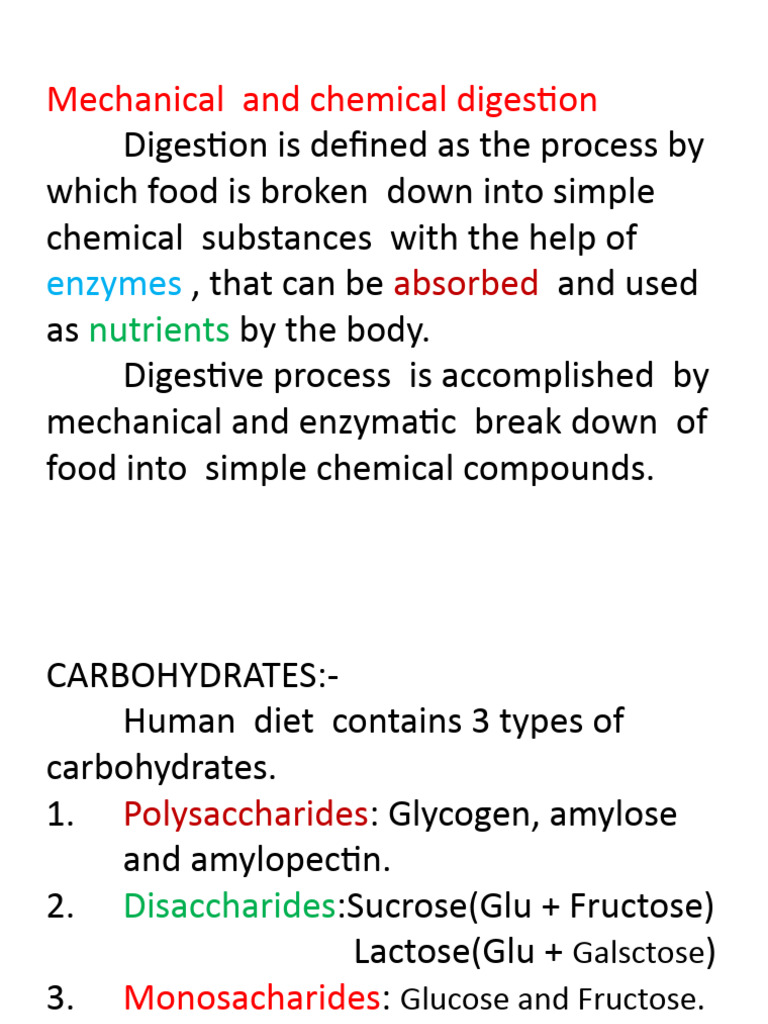Mechanical and Chemical Digestion | PDF | Digestion | Stomach