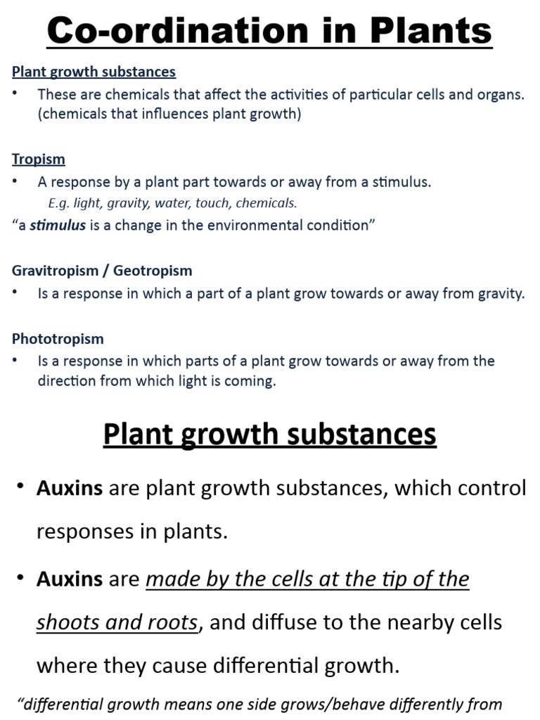 Co-Ordination in Plants | PDF | Auxin | Physiology