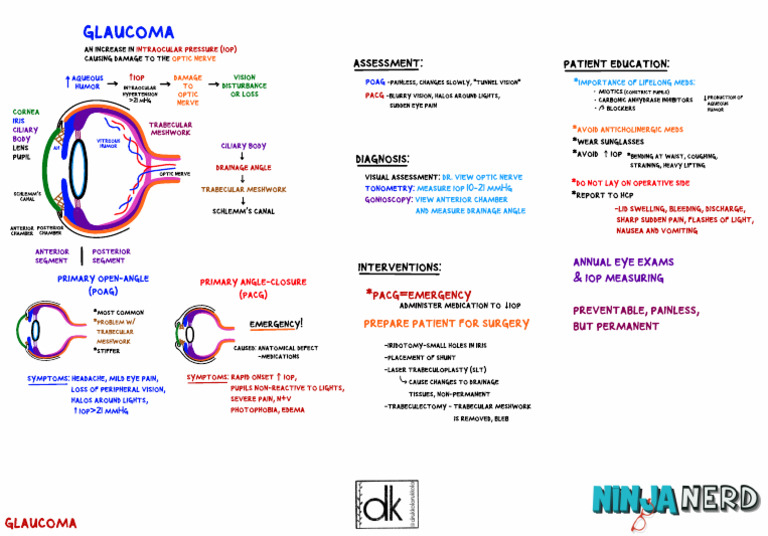 Nursing Pathology - 005) Glaucoma - NCLEX (Illustrations - Handout) | PDF