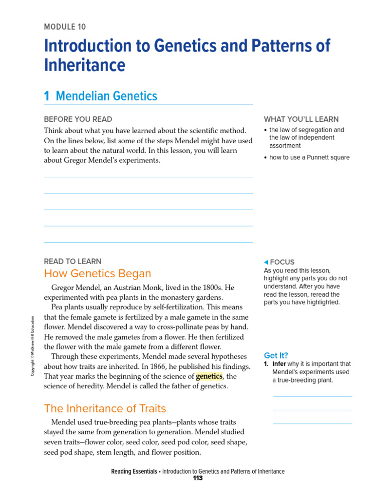 Reading Essentials - Mendelian Genetics | PDF | Dominance (Genetics ...