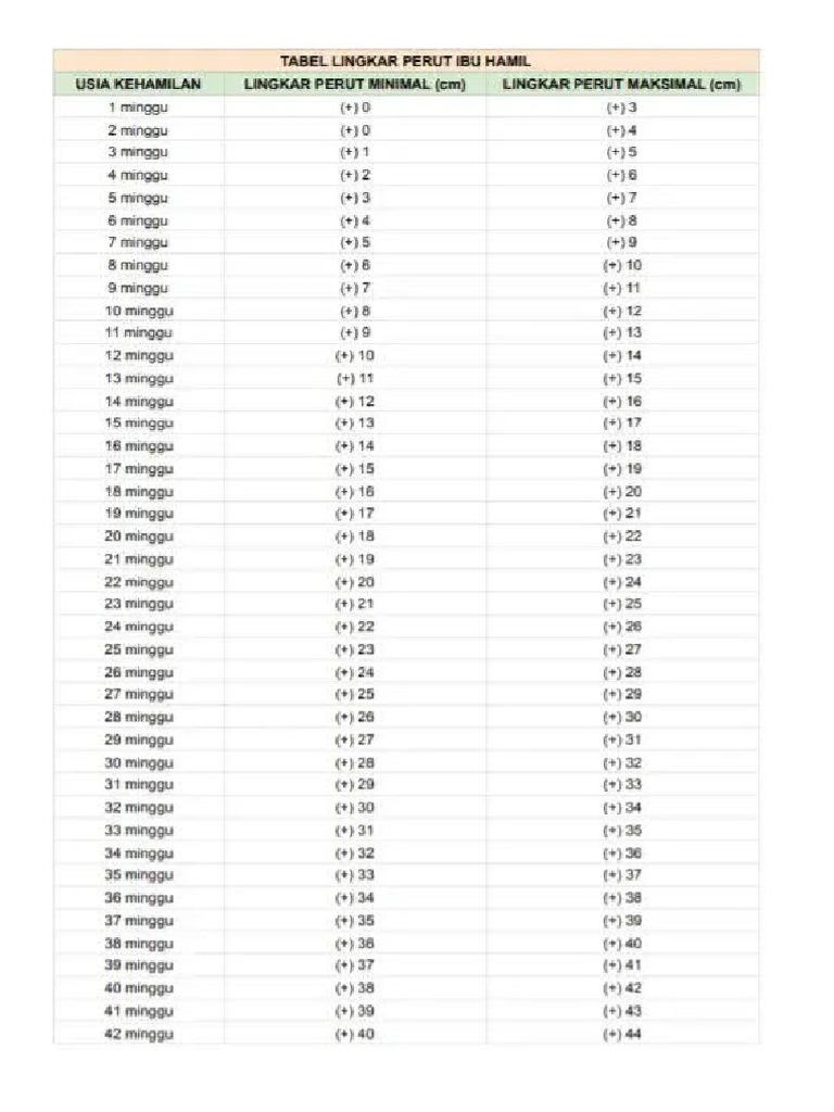 Data Ibu Hamil Normal | PDF