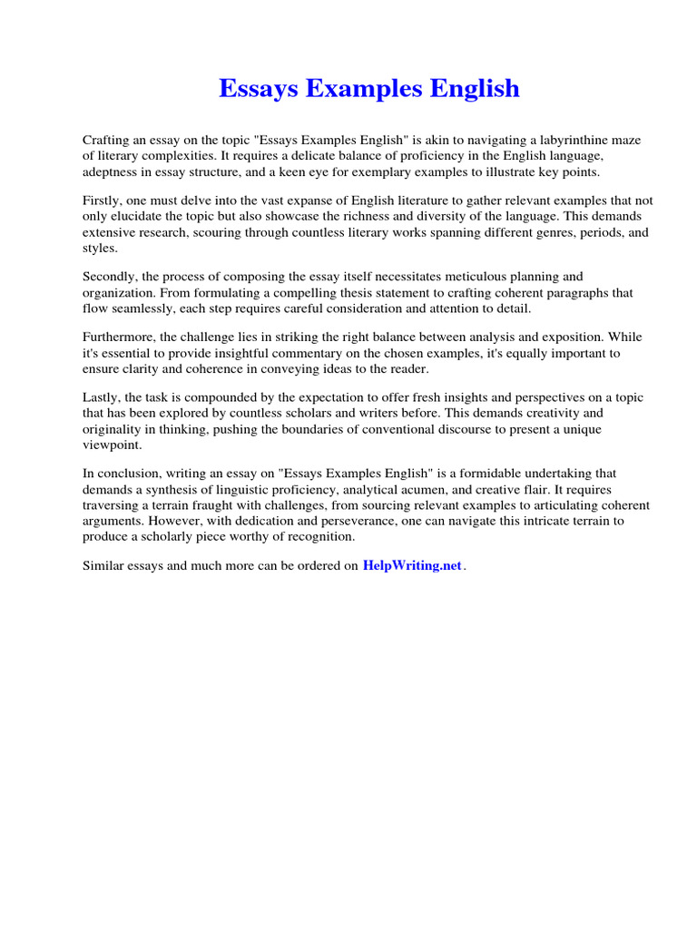 Essays Examples English | PDF