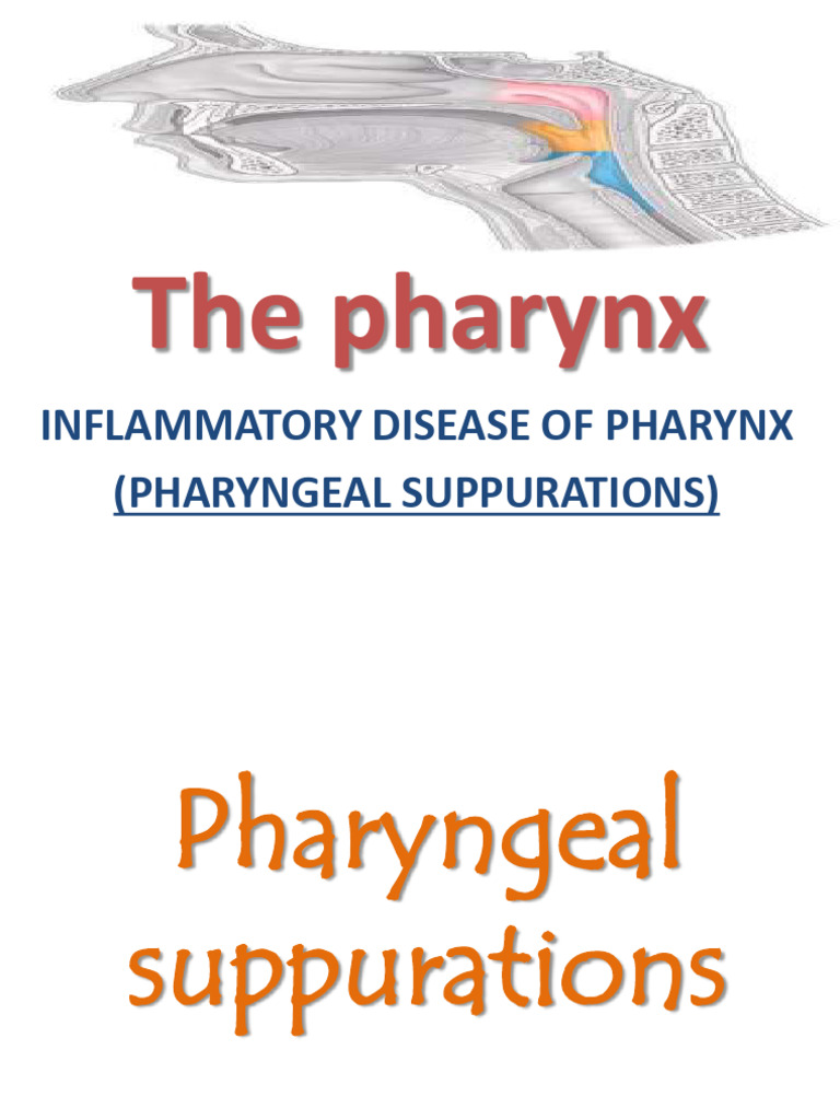 Pharyngeal Suppurations | PDF | Common Carotid Artery | Neck