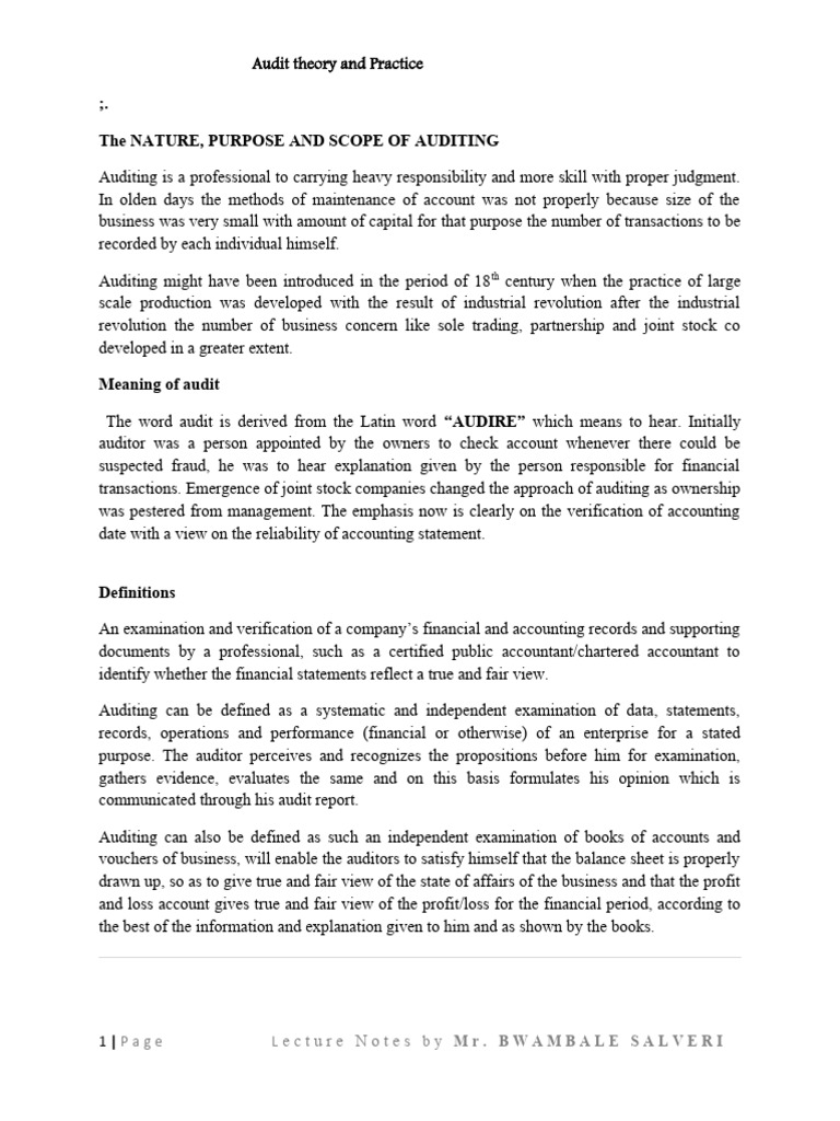 Audit Notes by SALVERI-1 | PDF