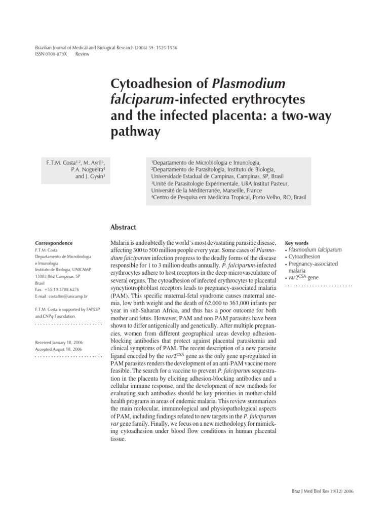 2006 Cytoadhesion of Plasmodium Falciparum-Infected Erythrocytes and ...