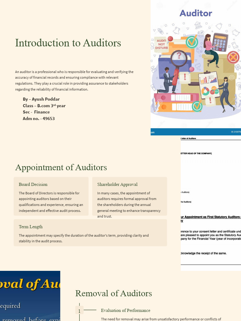 Introduction To Auditors | PDF | Audit | Internal Control