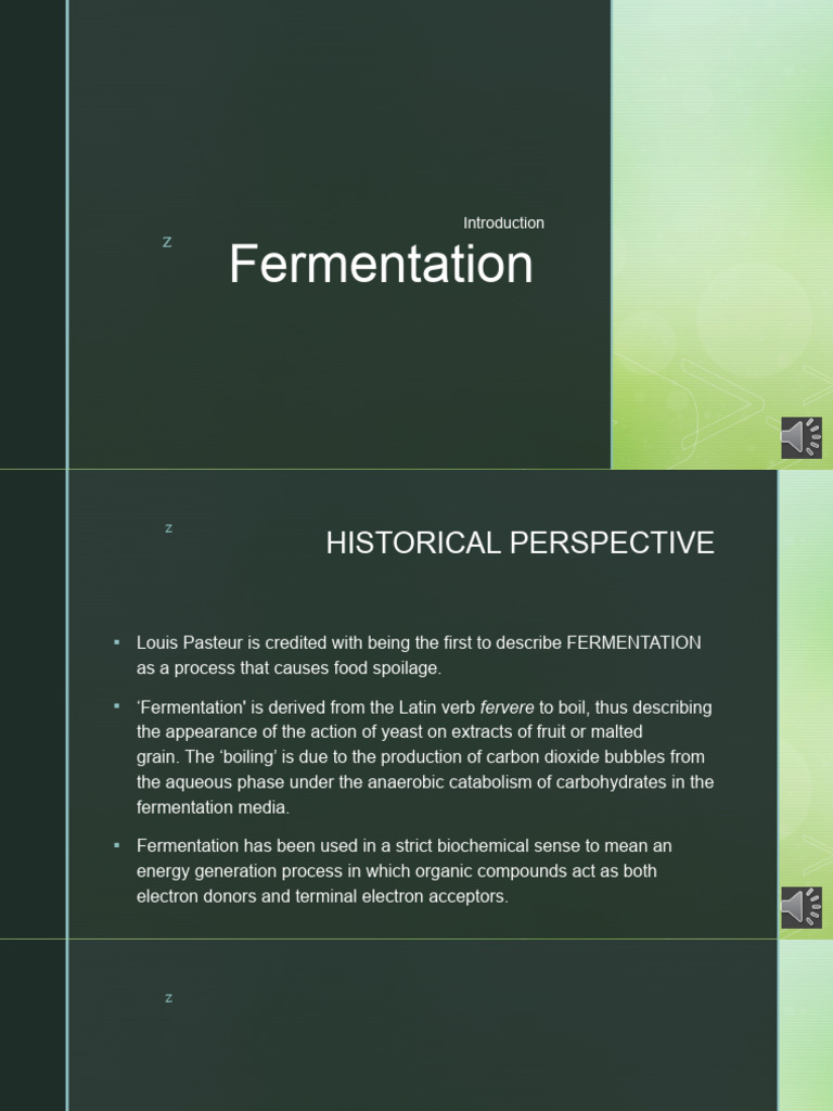 Fermentation | PDF