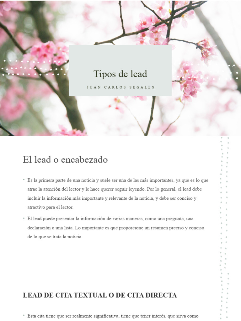 Tipos de Lead Periodístico Explicados | PDF