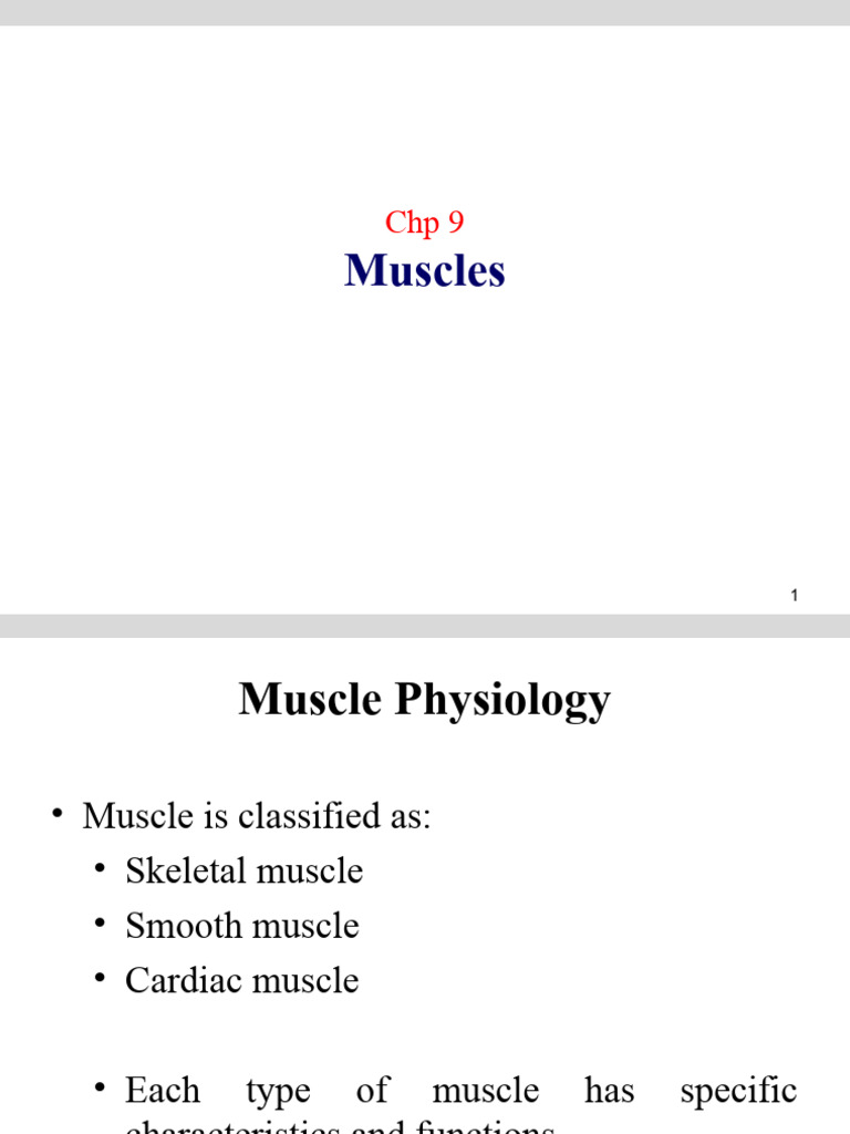 Bio 215 Topic 5 Muscles | PDF | Muscle Contraction | Skeletal Muscle
