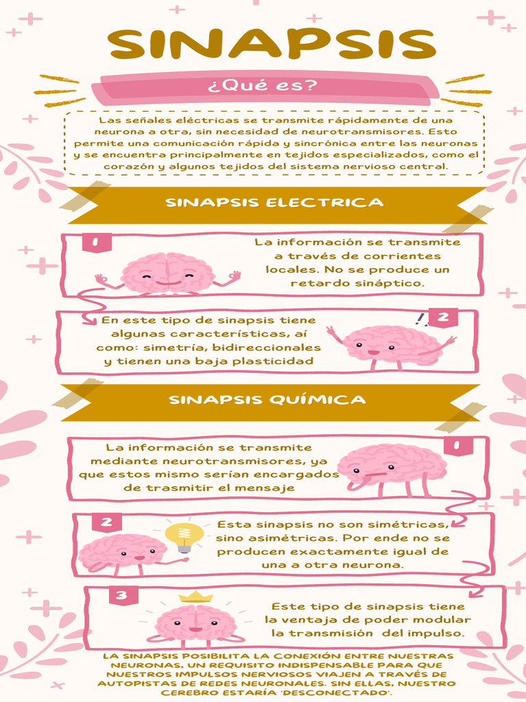 Infografia de Sinapsis Quimica y Electrica | PDF