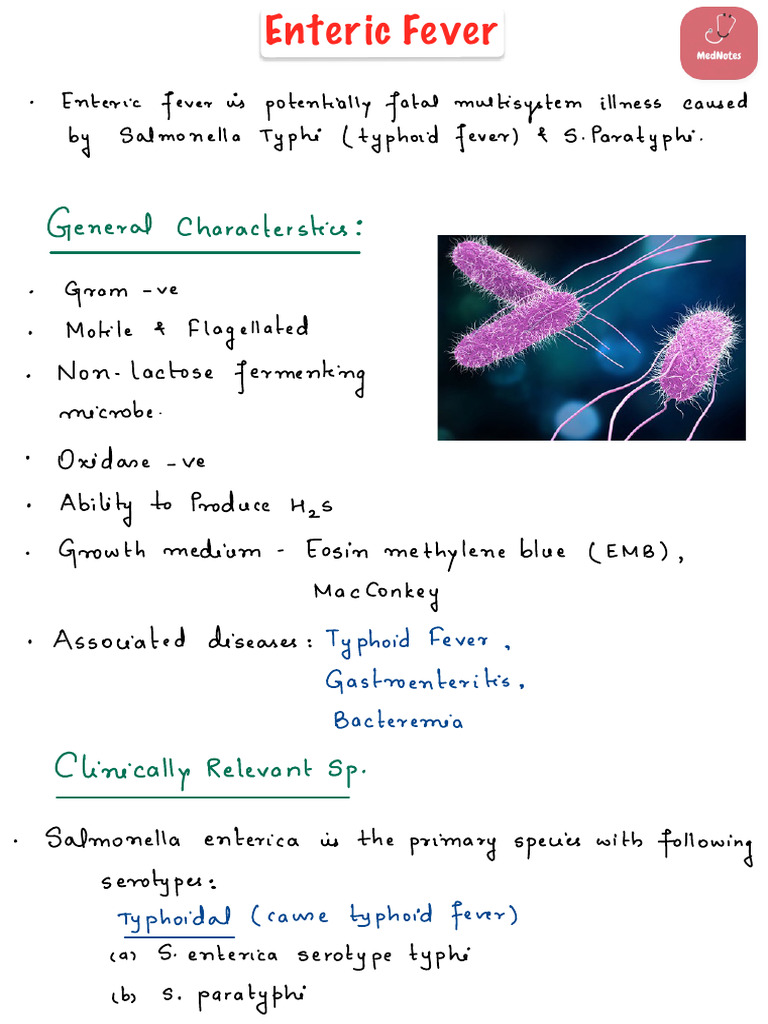 Enteric Fever | PDF | Salmonella | Medical Specialties