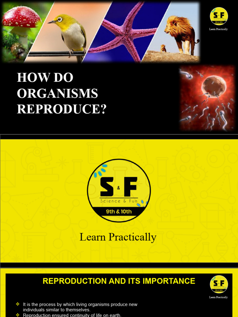 Understanding Organism Reproduction | PDF | Flowers | Sexual Reproduction