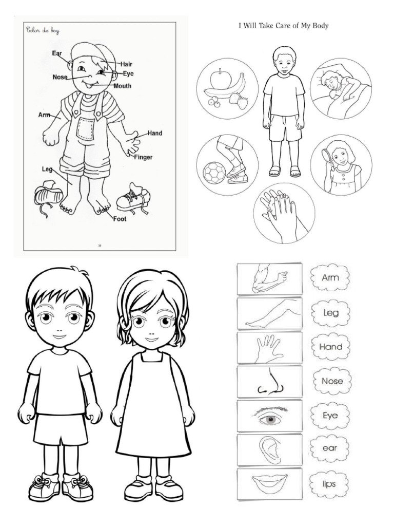 Body To Color | PDF