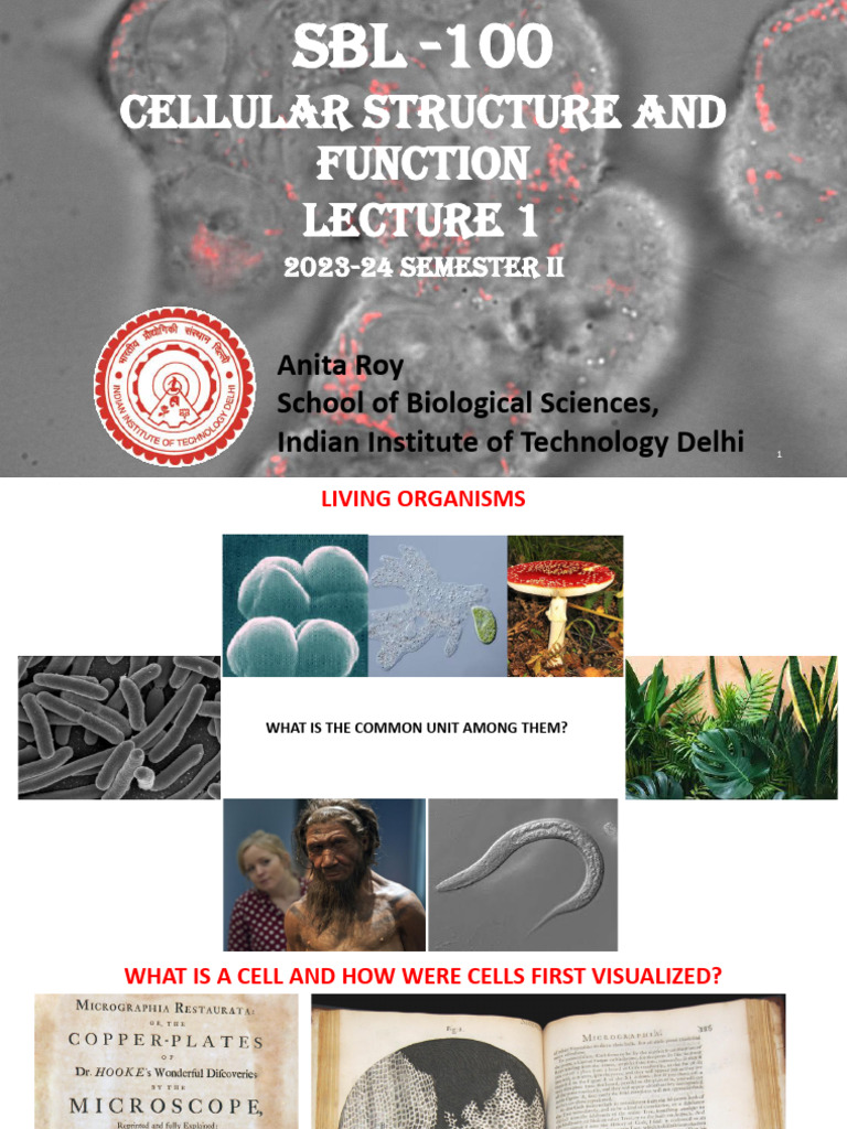 Cellular Structure and Function Lectrue 1 | PDF | Cell (Biology) | Gram ...