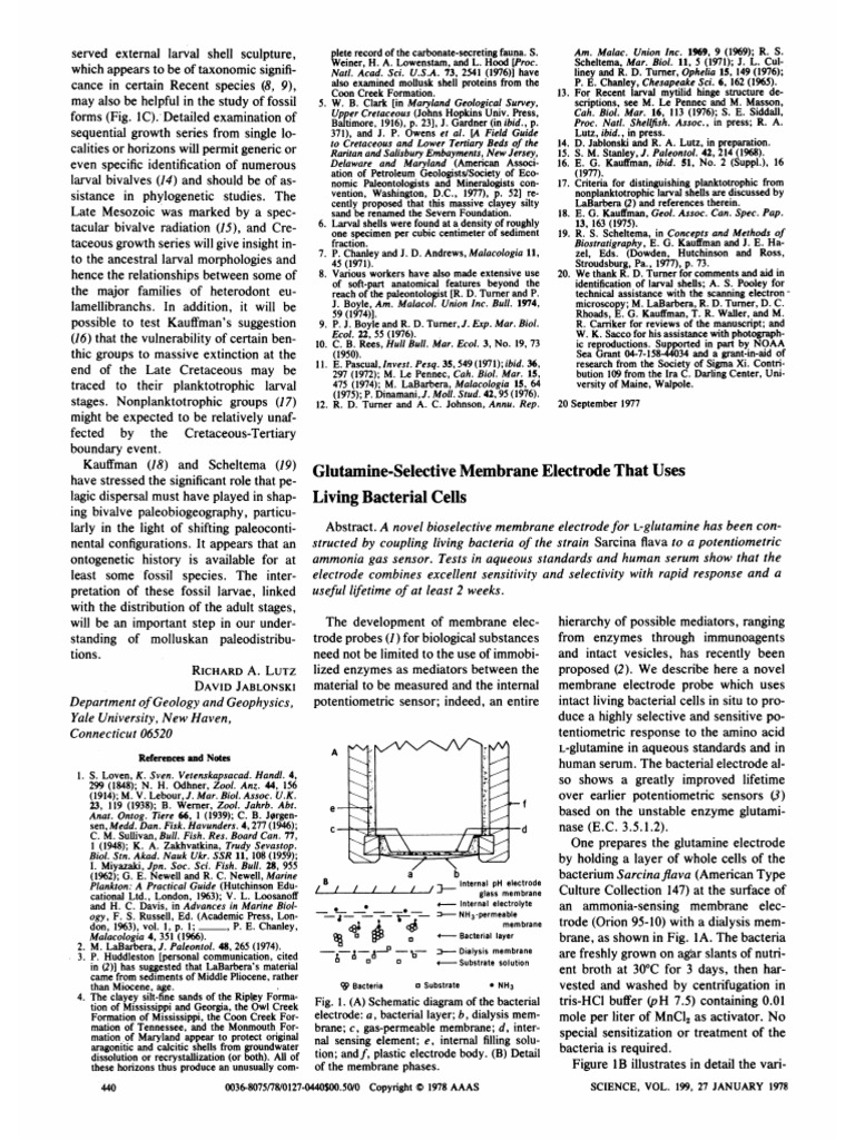 Glutamine Electrode | PDF
