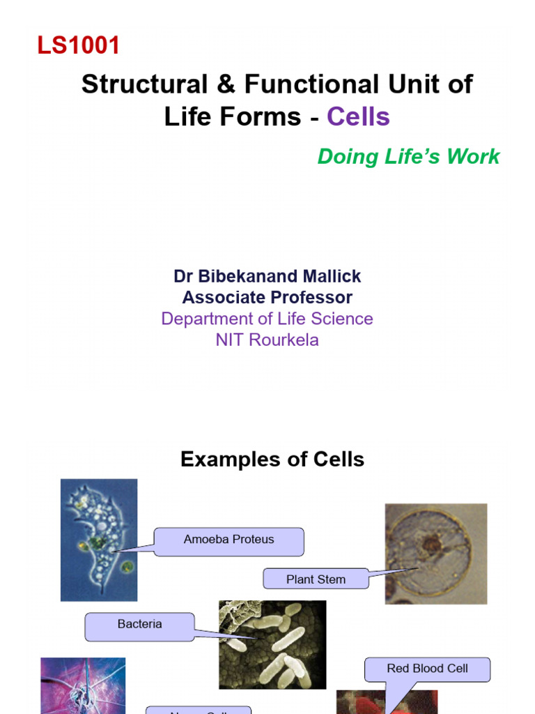 Chapter - 4 - Structural and Functional Unit of Lifeforms | PDF ...