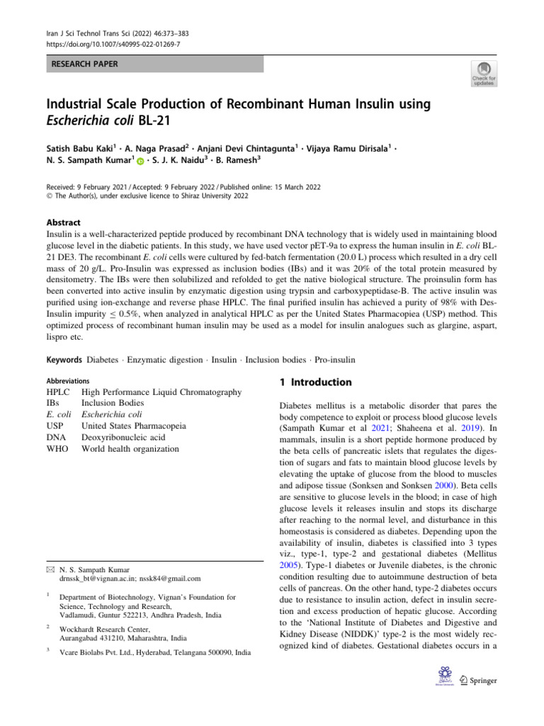 Industrial Scale Production of Recombinant Human Insulin Using ...