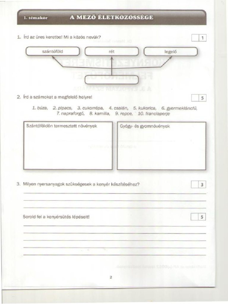 Ofi - ApáczaiKöri 3. Oszt. 2015 | PDF