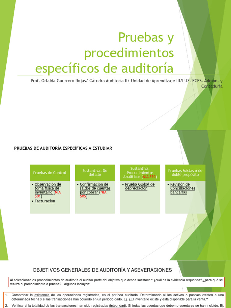 Pruebas Específicas de Auditoría | PDF | Auditoría | Depreciación