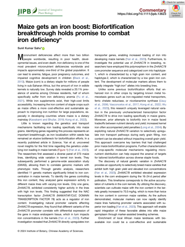 JIPB - Maize Gets An Iron Boost - Biofortification Breakthrough Holds Promise To Combat Iron ...