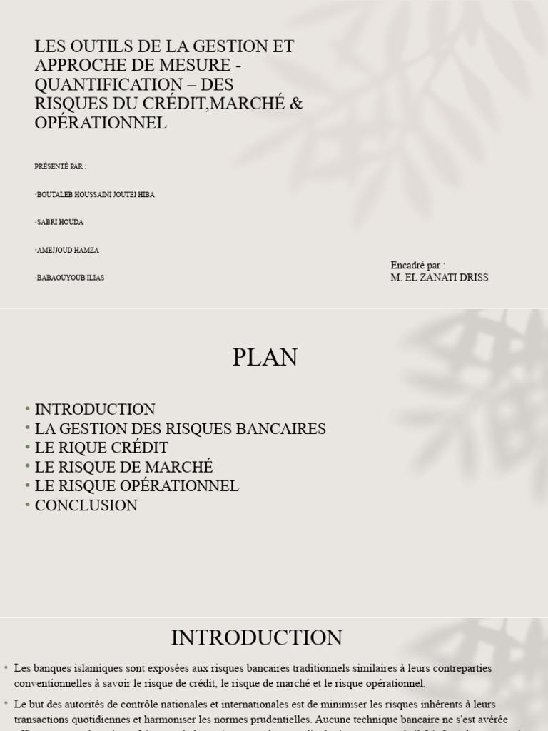 Presentation 3 | PDF | Risque opérationnel | Risque financier
